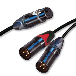 5 Pin Female XLR to Dual 3 Pin Male XLRs. Balanced and Stereo Y Cable.