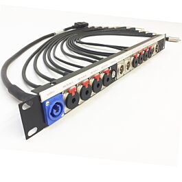 Custom RJM Mastermind, Axe-fx & Rack Gizmo Panel